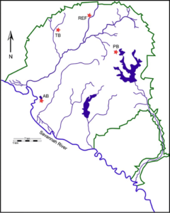 Analysis finds genetic link to antibiotic resistance - SREL
