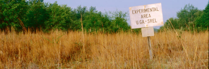 SREL Home page, Office of Research, University of Georgia