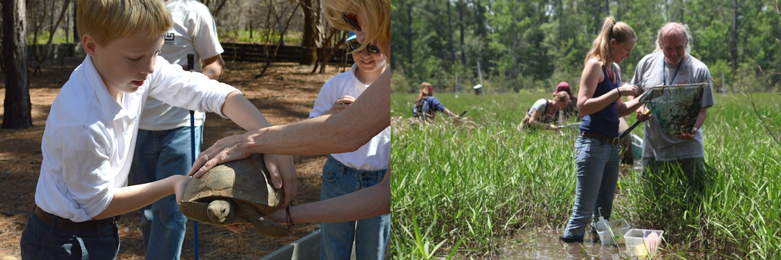 SREL | The University of Georgia