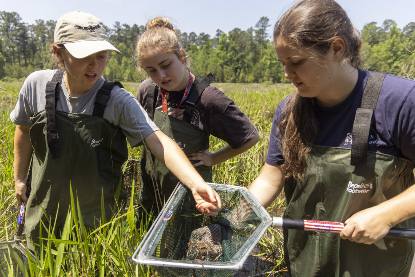 SREL Home page, Office of Research, University of Georgia