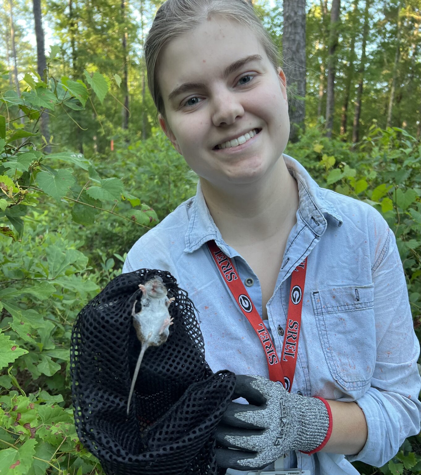 SREL Home page, Office of Research, University of Georgia